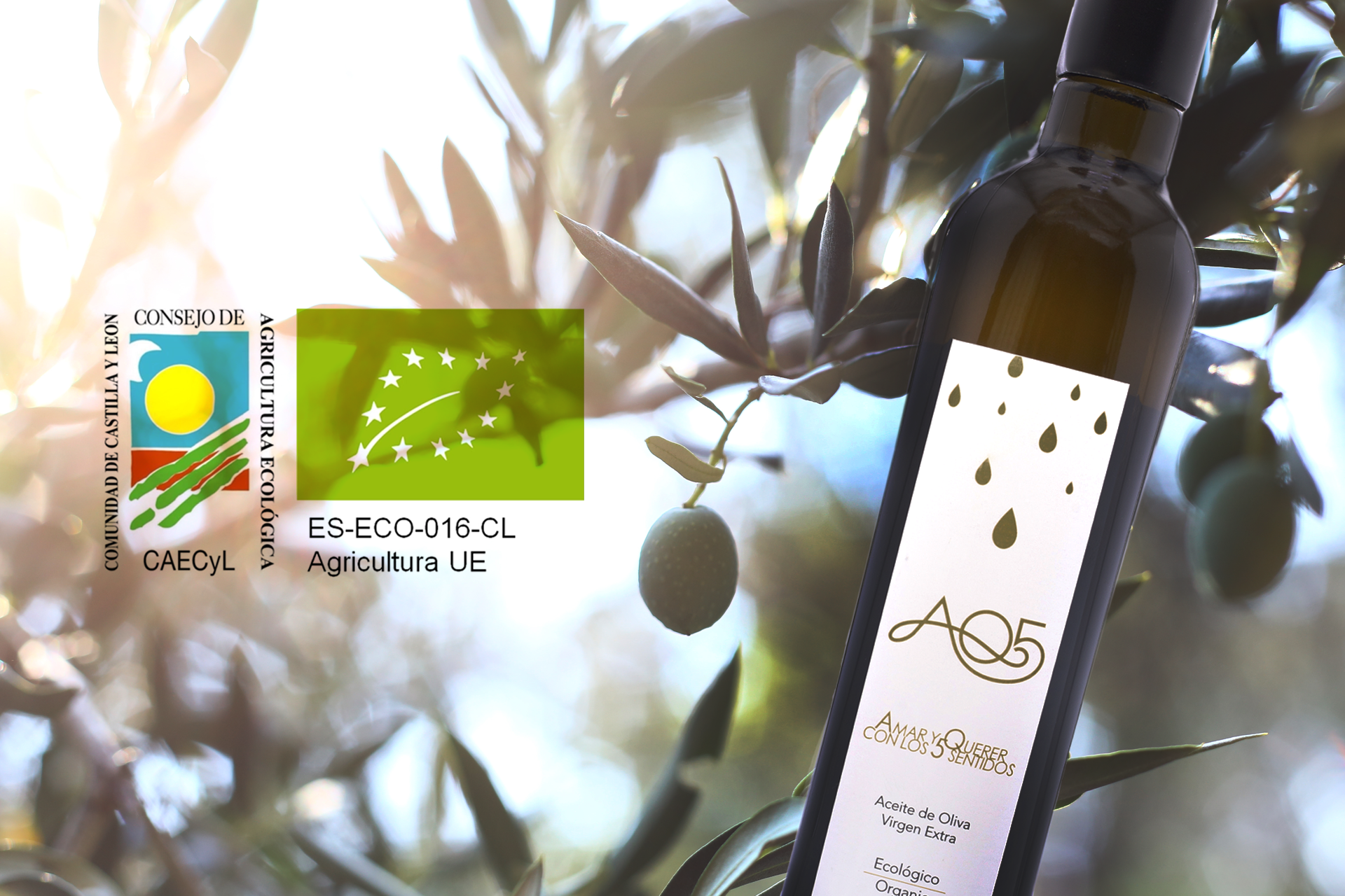 AOVE ecológico: el elixir definitivo | Tradición y sostenibilidad